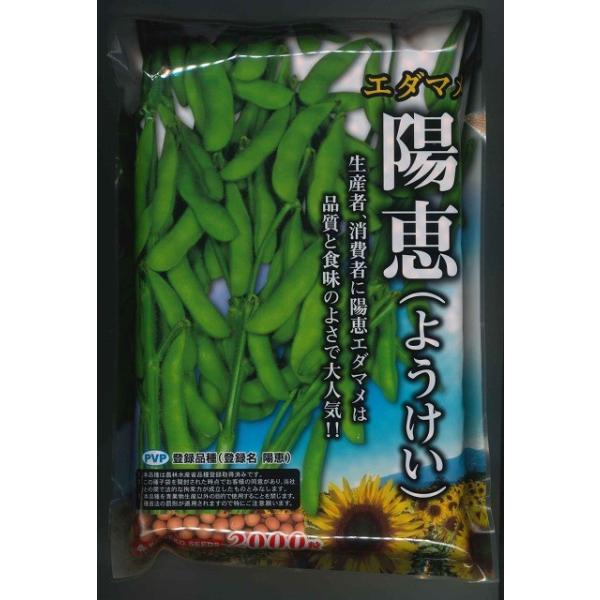 野菜種　枝豆　陽恵　茶豆風味の香りと甘みで、美味しさ抜群！種・苗・農業資材品揃え豊富！農家さん御用達のお店　グリーンロフトネモト