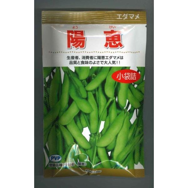 野菜種　枝豆　陽恵　茶豆風味の香りと甘みで、美味しさ抜群！種・苗・農業資材品揃え豊富！農家さん御用達のお店　グリーンロフトネモト