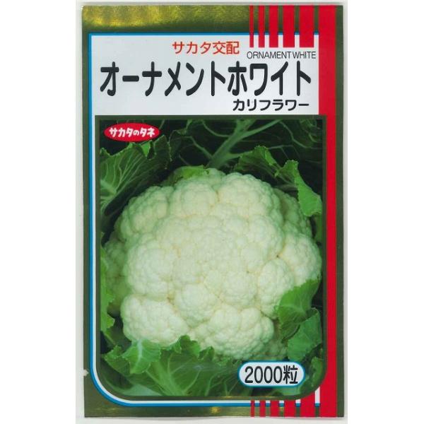野菜種　カリフラワー　オーナメントホワイト　極めて包葉性があり、純白花蕾が収穫できる中早生品種 種・苗・農業資材品揃え豊富！農家さん御用達のお店　グリーンロフトネモト