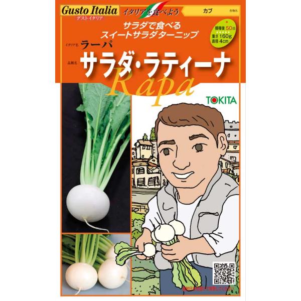 野菜種　イタリア野菜　サラダ・ラティーナ　200粒　トキタ種苗サラダで食べるスイートサラダターニップ種・苗・農業資材品揃え豊富！農家さん御用達のお店　グリーンロフトネモト
