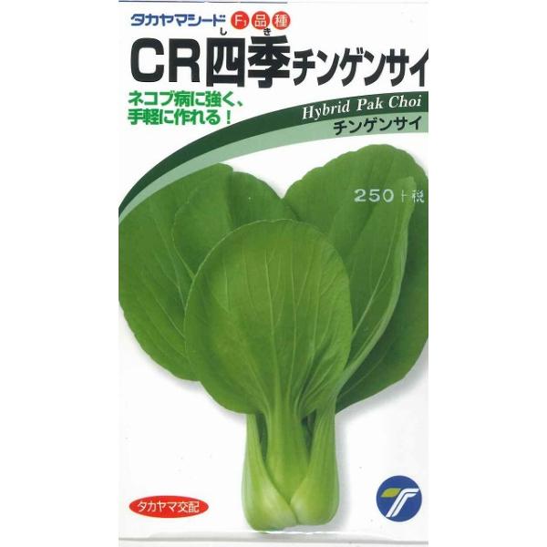 野菜種　ＣＲ四季チンゲンサイ　2ml  タカヤマシードネコブ病に強く、手軽に作れる！種・苗・農業資材品揃え豊富！農家さん御用達のお店　グリーンロフトネモト