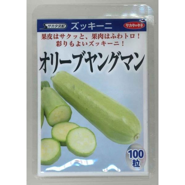 オリーブヤングマン　100粒　果皮はサクッと、果肉はふわトロ！　彩りもよいズッキーニ！種・苗・農業資材品揃え豊富！農家さん御用達のお店　グリーンロフトネモト