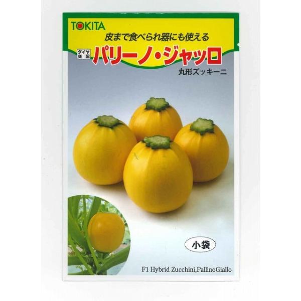 ズッキーニ　パリーノ・ジャッロ　　ダイヤ交配かわいい丸形のズッキーニ種・苗・農業資材品揃え豊富！農家さん御用達のお店　グリーンロフトネモト