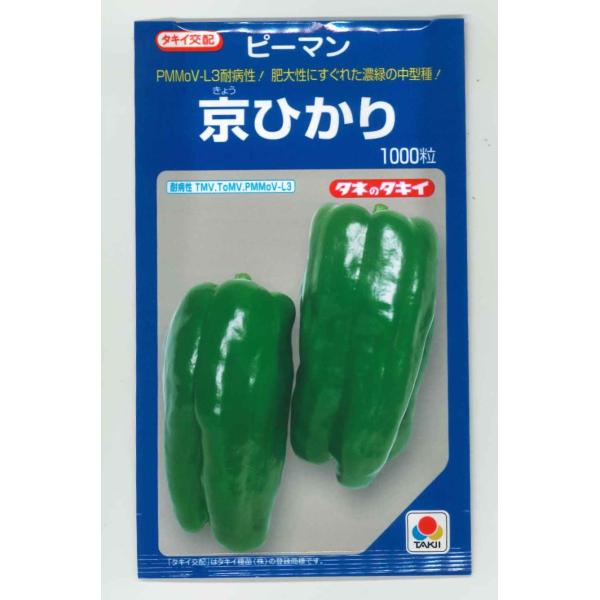 野菜種　ピーマン　京ひかりトンネル・露地栽培に最適な夏秋用中型ピーマン。種・苗・農業資材品揃え豊富！農家さん御用達のお店　グリーンロフトネモト