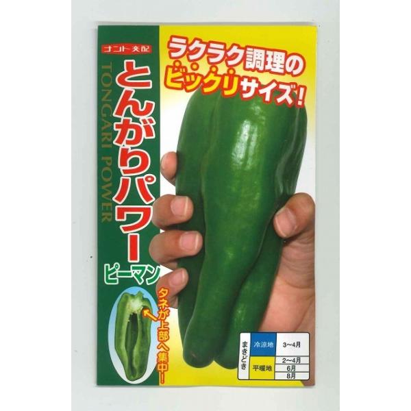 野菜種　ピーマン　とんがりパワー樹勢が旺盛で維持が容易、花芽が多い多収性品種です種・苗・農業資材品揃え豊富！農家さん御用達のお店　グリーンロフトネモト