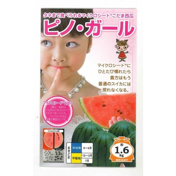 野菜種　ピノガール　タネまで食べられるマイクロシード！こだま西瓜種・苗・農業資材品揃え豊富！農家さん御用達のお店　グリーンロフトネモト