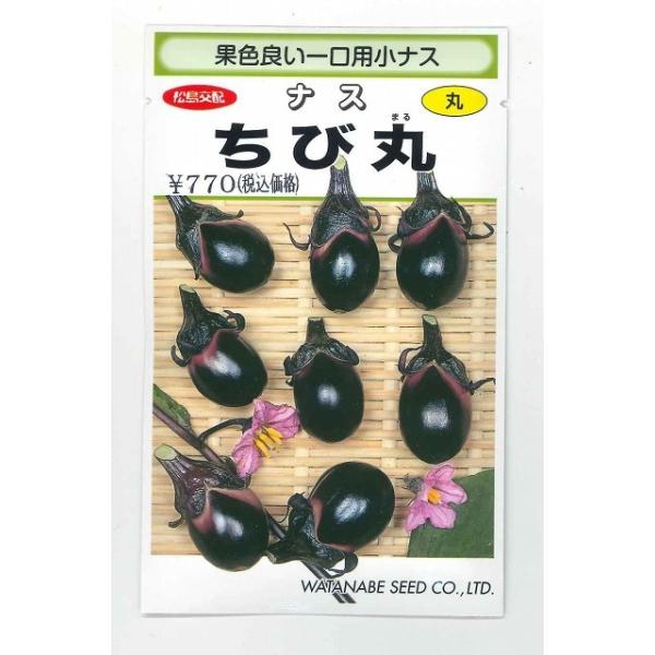 果色良い一口用小ナス！種・苗・農業資材品揃え豊富！農家さん御用達のお店　グリーンロフトネモト