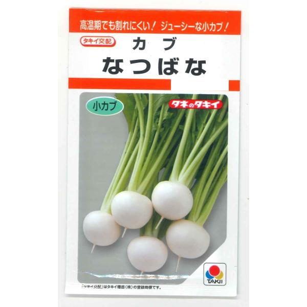 野菜種　かぶ　なつばな　根こぶ・萎黄・白さび病に強く、割れにくい良質小カブ！種・苗・農業資材品揃え豊富！農家さん御用達のお店　グリーンロフトネモト