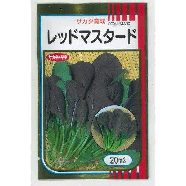 野菜種   レッドマスタードピリッとした辛みがおいしい