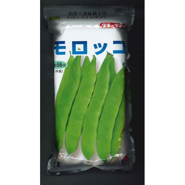野菜種　いんげん つるあり モロッコ莢は長さ14cm、幅1.8cm程度のつるあり種です。種・苗・農業資材品揃え豊富！農家さん御用達のお店　グリーンロフトネモト
