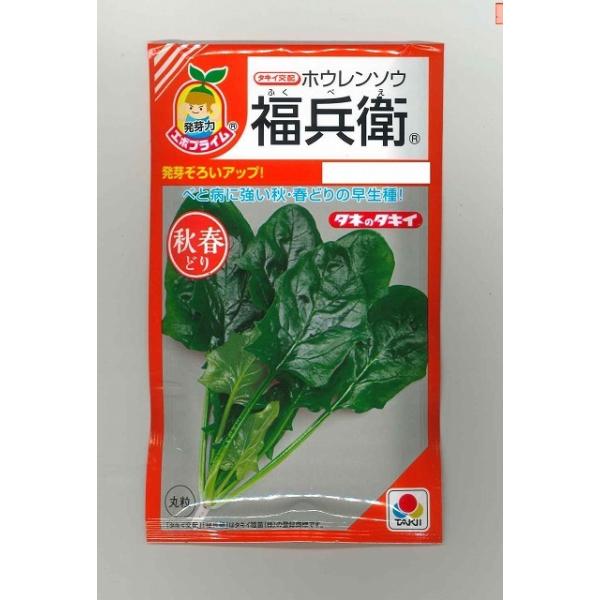 ほうれんそう 福兵衛収量性と作業性を兼備！べと病に強い秋・春どり早生種！　