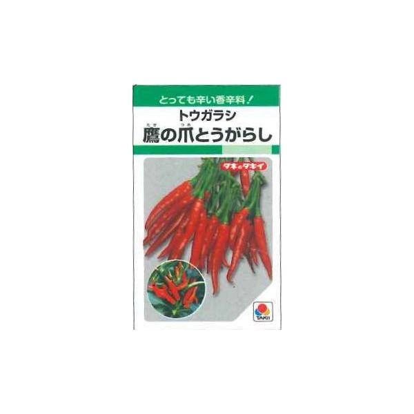 野菜種　とうがらし　鷹の爪とっても辛い香辛料！種・苗・農業資材品揃え豊富！農家さん御用達のお店　グリーンロフトネモト