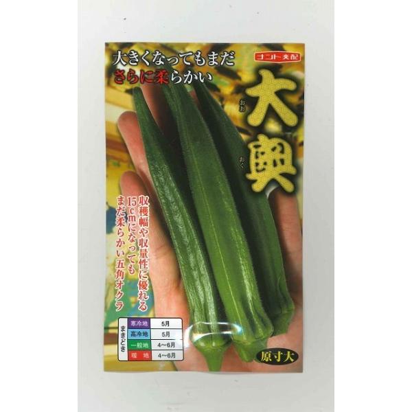 野菜種　オクラ　大奥おおきくなっても柔らかい五角オクラ！種・苗・農業資材品揃え豊富！農家さん御用達のお店　グリーンロフトネモト