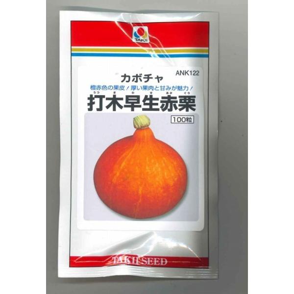 野菜種　かぼちゃ　打木早生赤栗橙赤色の果皮！厚い果肉と甘みが魅力！種・苗・農業資材品揃え豊富！農家さん御用達のお店　グリーンロフトネモト
