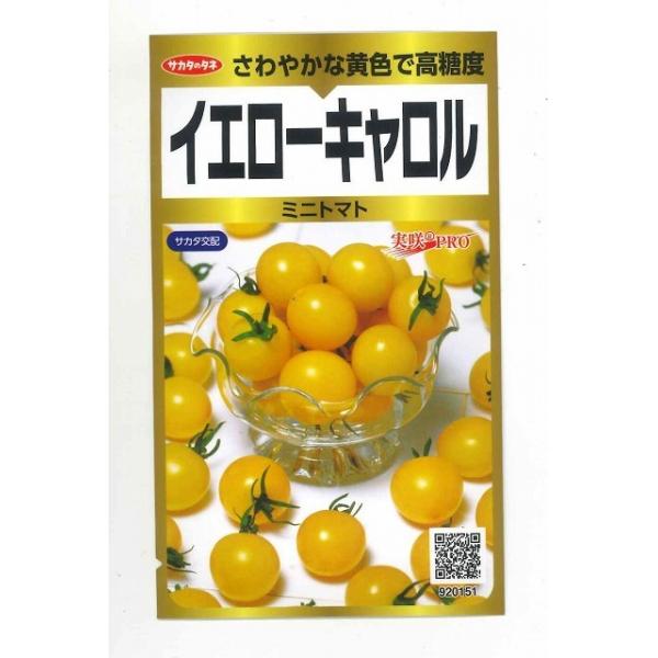 野菜種　ミニトマト　イエローキャロル　蒔きやすいペレット種子です。種・苗・農業資材品揃え豊富！農家さん御用達のお店　グリーンロフトネモト