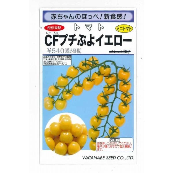 野菜種　ミニトマト　CFプチぷよイエロー赤ちゃんのほっぺのような新食感のミニトマト種・苗・農業資材品揃え豊富！農家さん御用達のお店　グリーンロフトネモト