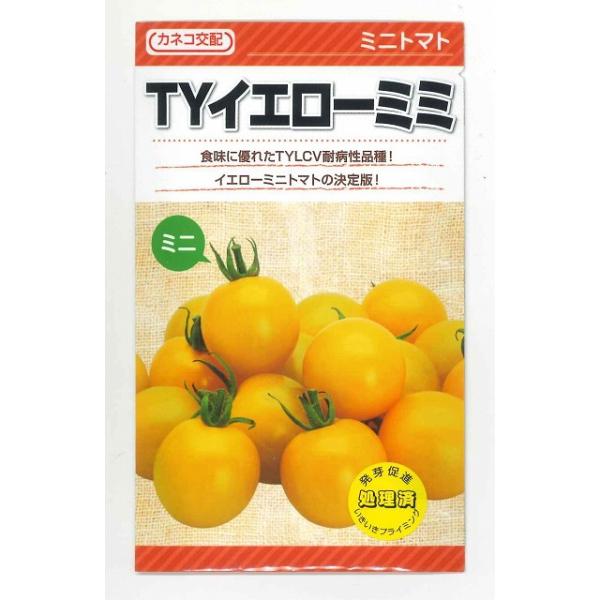 野菜種　ミニトマト　TYイエローミミ　食味に優れたTYLCV耐病性品種！イエローミニトマト！種・苗・農業資材品揃え豊富！農家さん御用達のお店　グリーンロフトネモト
