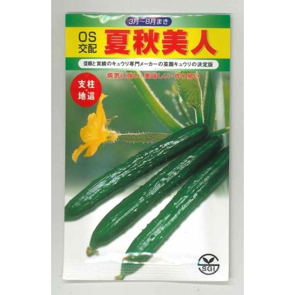 野菜種　きゅうり　夏秋美人　種・苗・農業資材品揃え豊富！農家さん御用達のお店　グリーンロフトネモト
