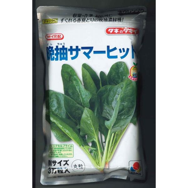 ほうれんそう 晩抽サマーヒット　収量性・作業性・耐病性にすぐれる晩抽の春夏どり濃緑在圃種！