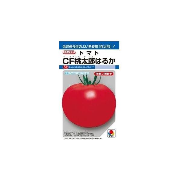 野菜種　大玉トマト　ＣＦ桃太郎はるか果形は豊円で果重220g程度の大玉。種・苗・農業資材品揃え豊富！農家さん御用達のお店　グリーンロフトネモト