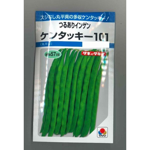 野菜種　いんげん ケンタッキー101低温・少日照下の栽培でも極めて安定した栽培ができます。種・苗・農業資材品揃え豊富！農家さん御用達のお店　グリーンロフトネモト