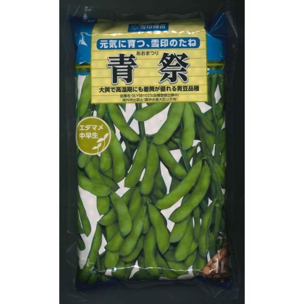 野菜種　枝豆　青祭大莢で高温期にも着莢が優れる青豆品種！種・苗・農業資材品揃え豊富！農家さん御用達のお店　グリーンロフトネモト