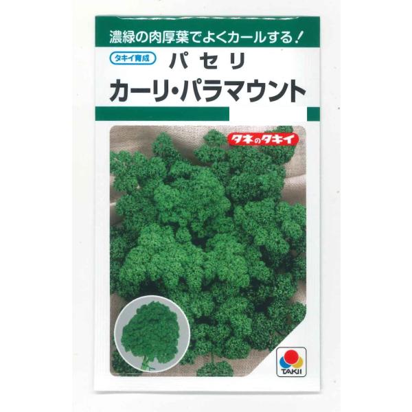 パセリ　カーリ・パラマウント（約620粒）　栄養素たっぷり！作りやすいパセリ！