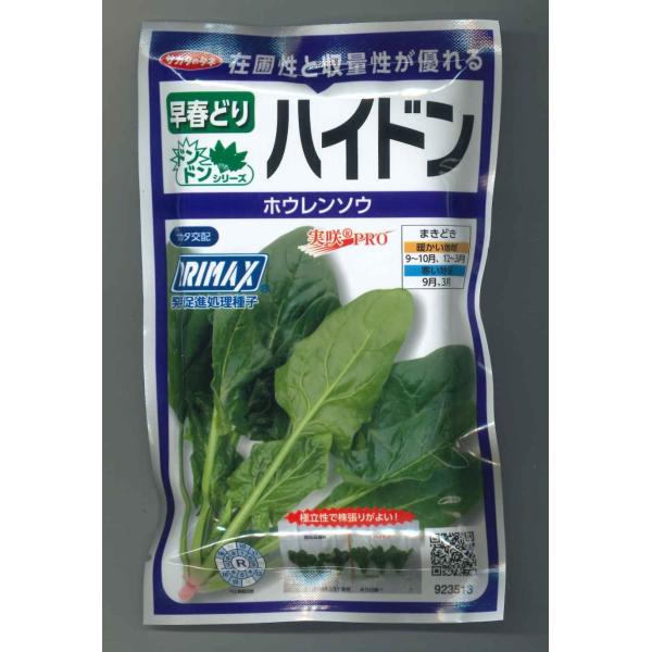 ほうれんそう  ハイドン　　（株）サカタのタネ秋冬まき用ホウレンソウ　暖冬・厳冬でも適度な伸長性の多収型品種