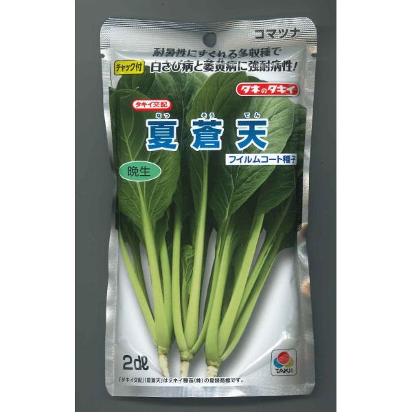 小松菜　夏蒼天　20ml タキイ種苗耐暑性にすぐれる多収種で白さび病と萎黄病に強耐病性！