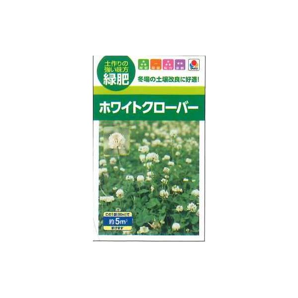 ホワイトクローバー　フィア　小袋（約5平方メートル分）　タキイ種苗（株）年中緑を保ち、雑草を抑制する！種・苗・農業資材品揃え豊富！農家さん御用達のお店　グリーンロフトネモト