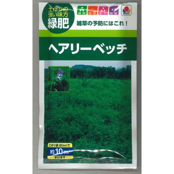 大麦（緑肥用）ヘアリーベッチ・ナモイ　小袋（約10平方メートル分）　タキイ種苗（株）早枯れタイプのリビングマルチで雑草抑制！種・苗・農業資材品揃え豊富！農家さん御用達のお店　グリーンロフトネモト