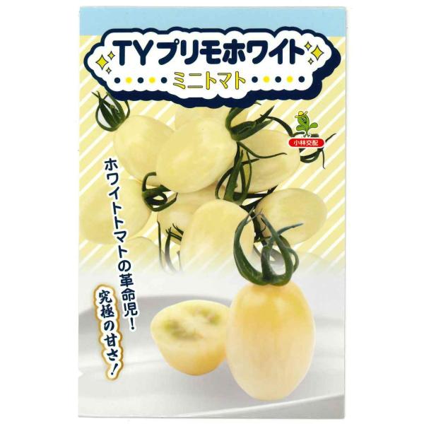野菜種　ミニトマト　TYプリモホワイト　白皮トマトの革命児！黄化葉巻病耐病性の極甘トマト！種・苗・農業資材品揃え豊富！農家さん御用達のお店　グリーンロフトネモト