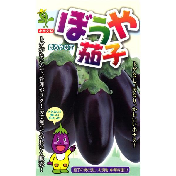 なす　ぼうや茄子房成でとげなしの可愛い小茄子がたくさん獲れる!種・苗・農業資材品揃え豊富！農家さん御用達のお店　グリーンロフトネモト