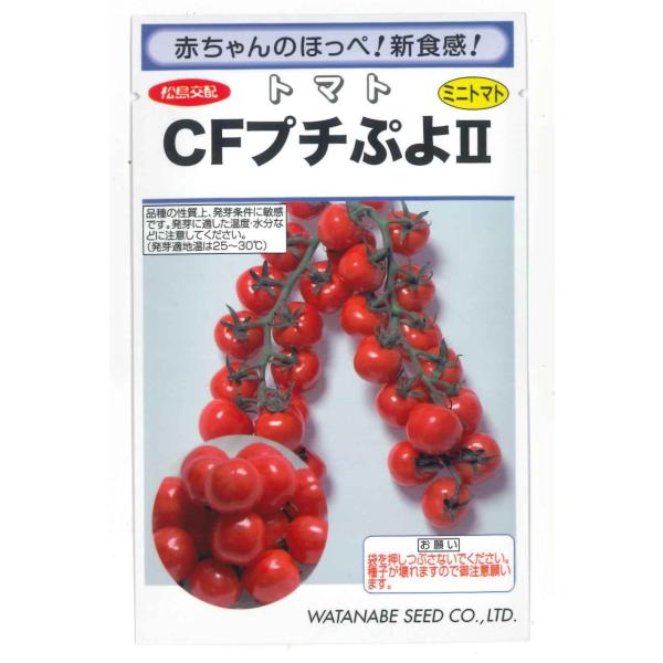 野菜種　ミニトマト　CFプチぷよ2　「ＣＦプチぷよ」の特性はそのままに、台木の型が替わって、利用しやすくなりました！種・苗・農業資材品揃え豊富！農家さん御用達のお店　グリーンロフトネモト