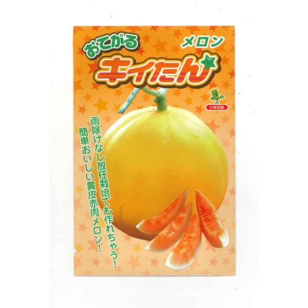 メロン　おてがるキイたん　雨除けなし放任栽培でも作れちゃう！簡単おいしい黄皮赤肉メロン！種・苗・農業資材品揃え豊富！農家さん御用達のお店　グリーンロフトネモト