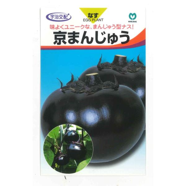 なす　京まんじゅう　味よくユニークな、まんじゅう型ナス！種・苗・農業資材品揃え豊富！農家さん御用達のお店　グリーンロフトネモト