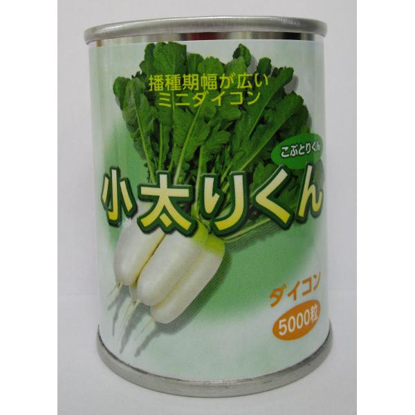野菜種　大根　小太りくん人気品種！太り、尻つまりよく早くから収穫できる種・苗・農業資材品揃え豊富！農家さん御用達のお店　グリーンロフトネモト