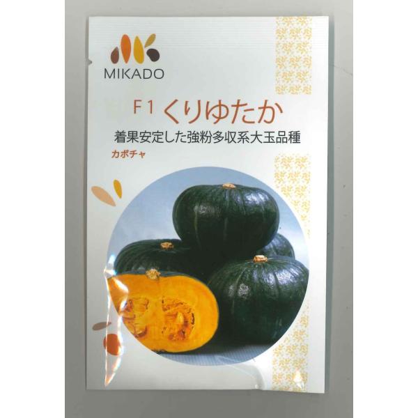 野菜種　かぼちゃ　くりゆたか肉質は強紛質で、甘味も強く大変おいしい。種・苗・農業資材品揃え豊富！農家さん御用達のお店　グリーンロフトネモト