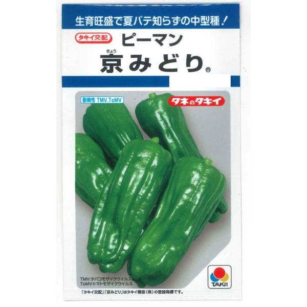 野菜種　ピーマン　京みどり果重は30g程度で、袋詰め出荷に適する中型ピーマンです。種・苗・農業資材品揃え豊富！農家さん御用達のお店　グリーンロフトネモト