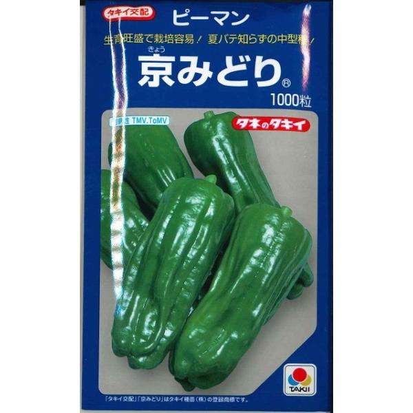 野菜種　ピーマン　京みどり果重は30g程度で、袋詰め出荷に適する中型ピーマンです。種・苗・農業資材品揃え豊富！農家さん御用達のお店　グリーンロフトネモト