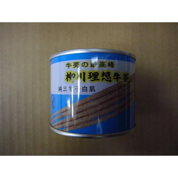野菜種　牛蒡　柳川理想葉数は6〜7枚中心、立性のため株間をつめても欠株が少なくそろいがよいです。種・苗・農業資材品揃え豊富！農家さん御用達のお店　グリーンロフトネモト