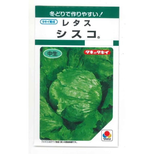 野菜種　レタス　シスコ葉肉は厚くて日もちにすぐれ、歯切れがよい。種・苗・農業資材品揃え豊富！農家さん御用達のお店　グリーンロフトネモト