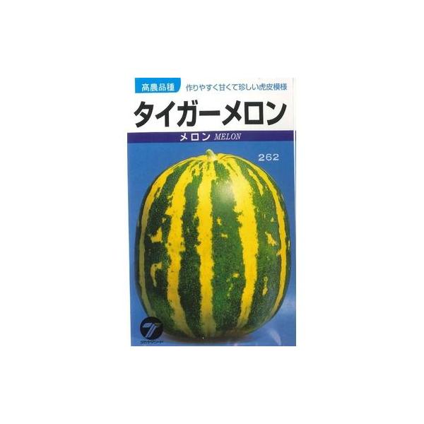 野菜種　メロン　タイガーメロン黄金地に十条内外の濃緑縦縞のある短楕円形で果肉は白色種・苗・農業資材品揃え豊富！農家さん御用達のお店　グリーンロフトネモト