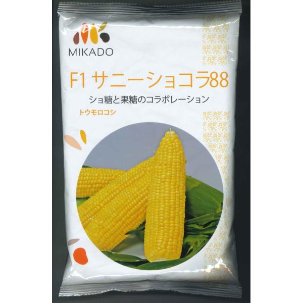 とうもろこし種　サニーショコラ甘さ、粒皮の柔らかさを追求して生まれた食味のよい黄色種。種・苗・農業資材品揃え豊富！農家さん御用達のお店　グリーンロフトネモト