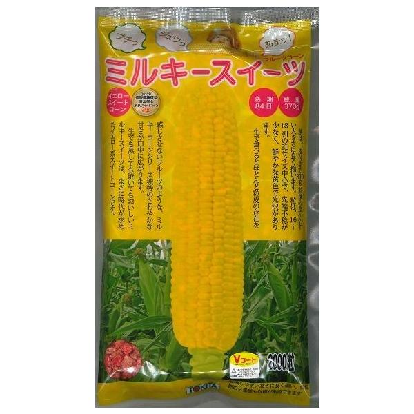 野菜種  とうもろこし　ミルキースイーツ4月頃に種まきすると84日前後で370g程度に良く揃った穂が収穫できる。種・苗・農業資材品揃え豊富！農家さん御用達のお店　グリーンロフトネモト