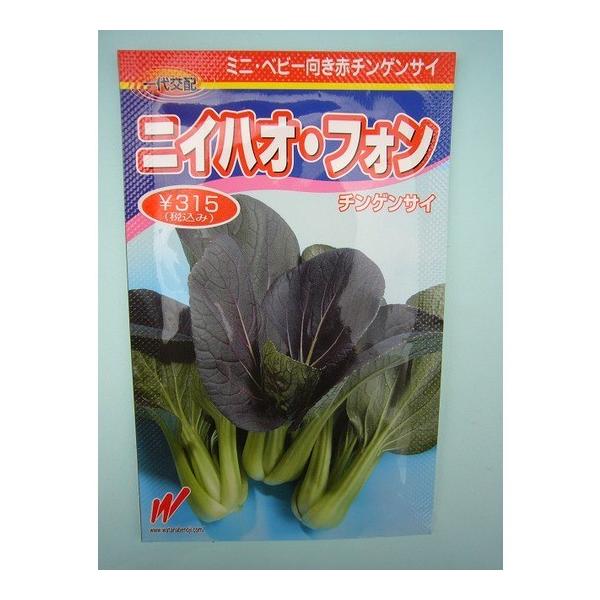 野菜種　中国野菜　チンゲンサイ　ニイハオ・フォン（赤チンゲンサイ）従来より小さいサイズなのでベビーリーフとしては周年栽培できます。種・苗・農業資材品揃え豊富！農家さん御用達のお店　グリーンロフトネモト