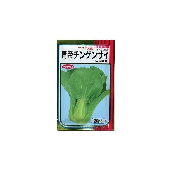 野菜種　中国野菜　青帝チンゲンサイ 発芽時より生育旺盛で、そろいがよく早生で強健です。種・苗・農業資材品揃え豊富！農家さん御用達のお店　グリーンロフトネモト