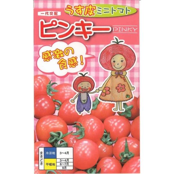 野菜種　うす皮ミニトマト　ピンキー種・苗・農業資材品揃え豊富！農家さん御用達のお店　グリーンロフトネモト