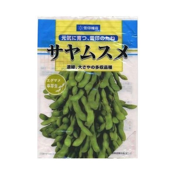 野菜種　枝豆　サヤムスメ食味が良く、市場性に優れます。種・苗・農業資材品揃え豊富！農家さん御用達のお店　グリーンロフトネモト