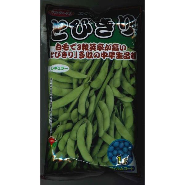 枝豆種　とびきり　　サカタのタネ極めて収量性のよい白毛中早生種種・苗・農業資材品揃え豊富！農家さん御用達のお店　グリーンロフトネモト